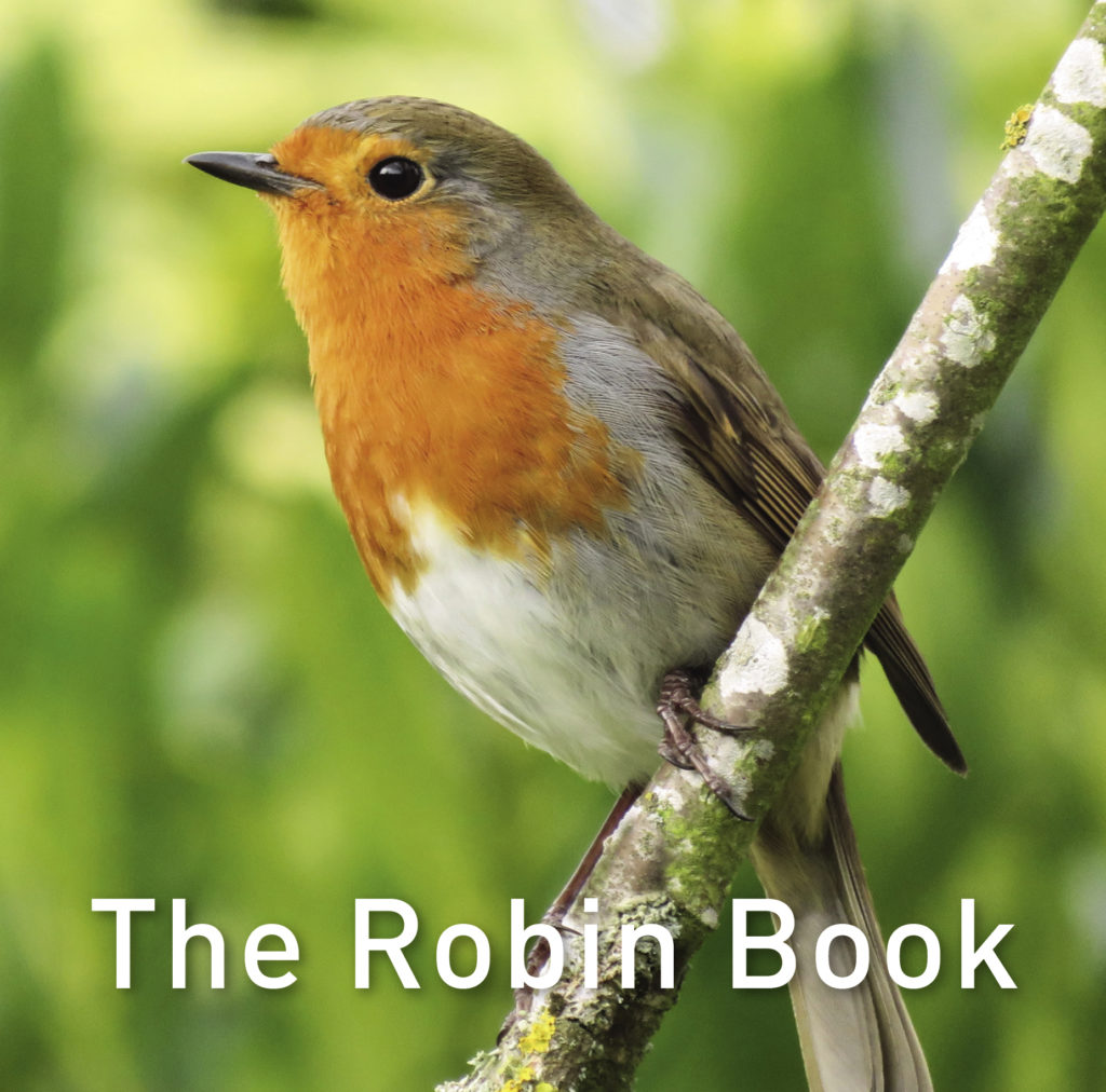The Robin Book — Great English Outdoors