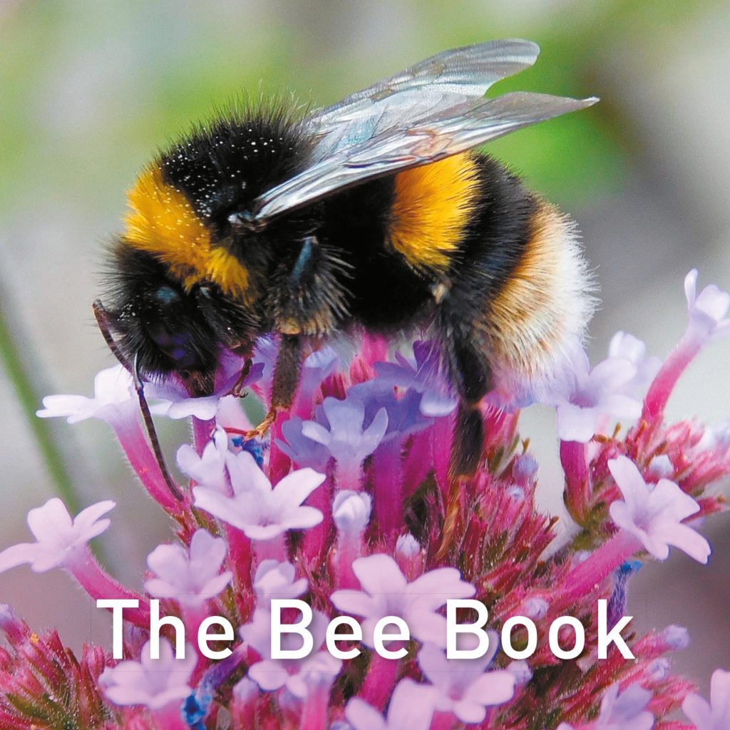 The Bee Book — Great English Outdoors