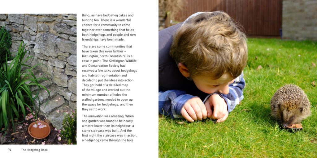 The Hedgehog Book — Great English Outdoors