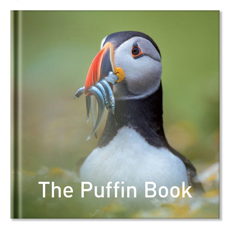 The Puffin Book — Great English Outdoors