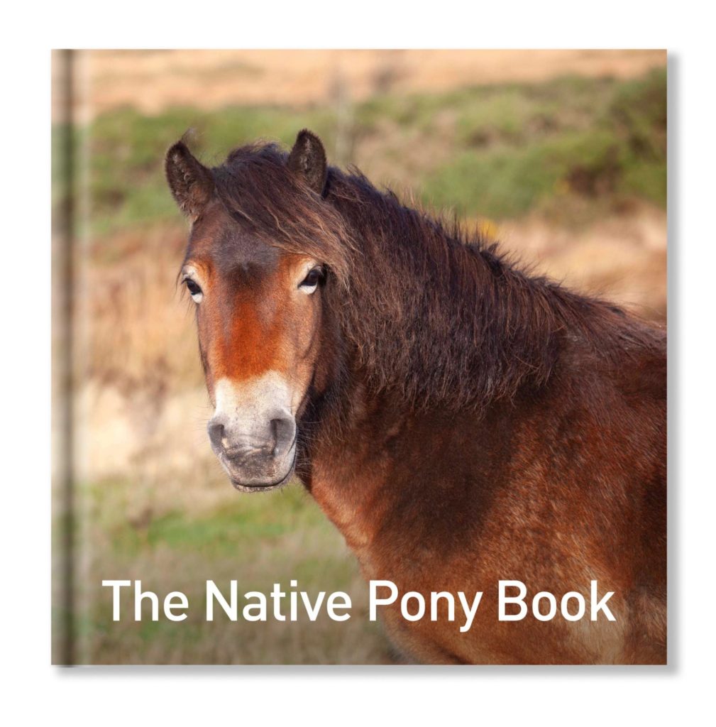 The Native Pony Book — Great English Outdoors