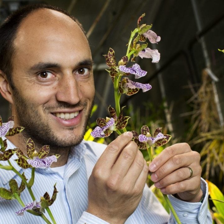 The Hidden Universe by Alexandre Antonelli — Great English Outdoors