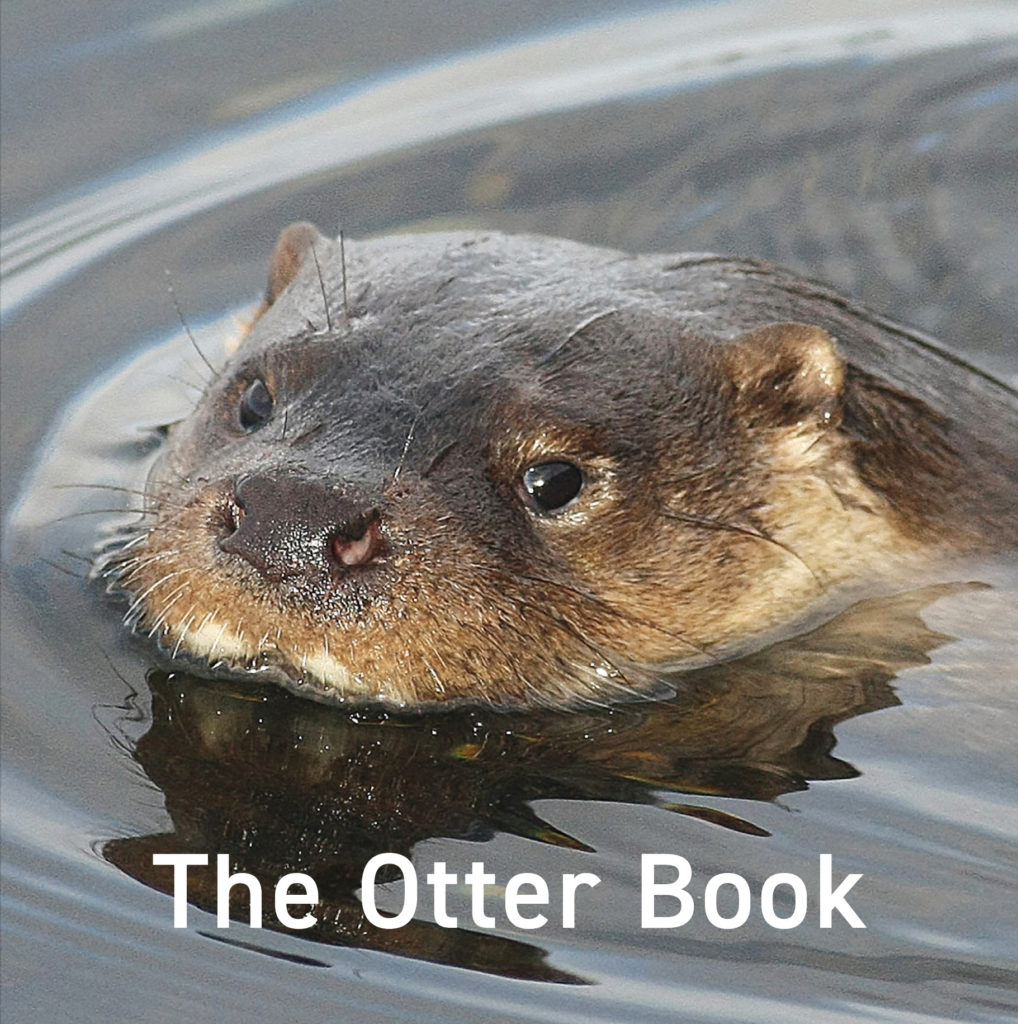 The Otter Book — Great English Outdoors