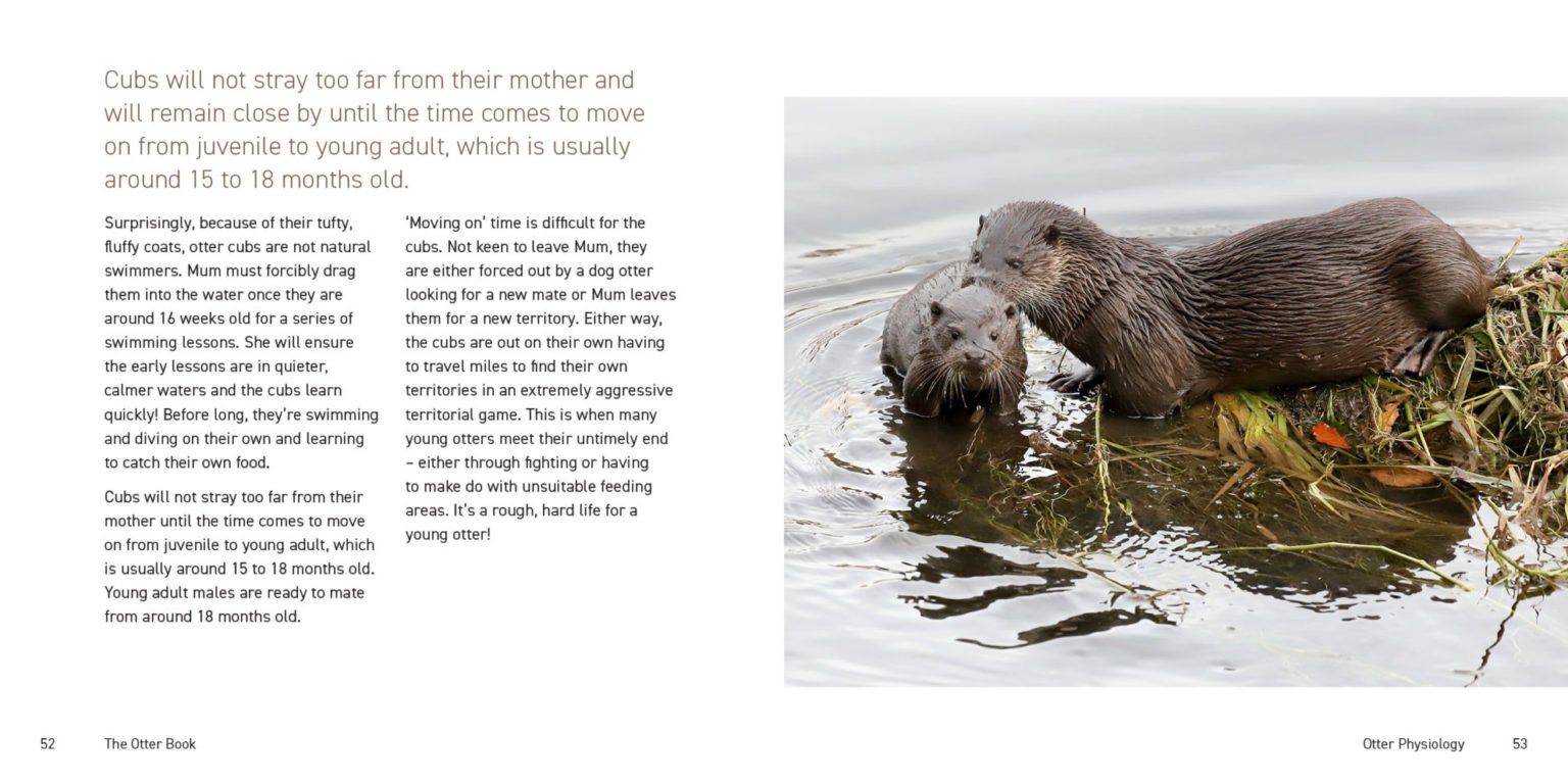 The Otter Book — Great English Outdoors