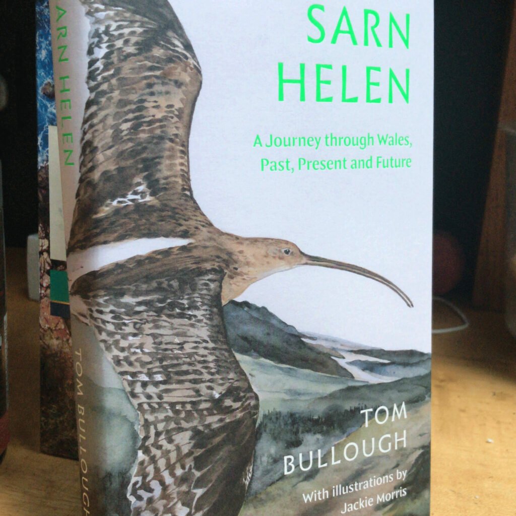 Sarn Helen by Tom Bullough — Great English Outdoors
