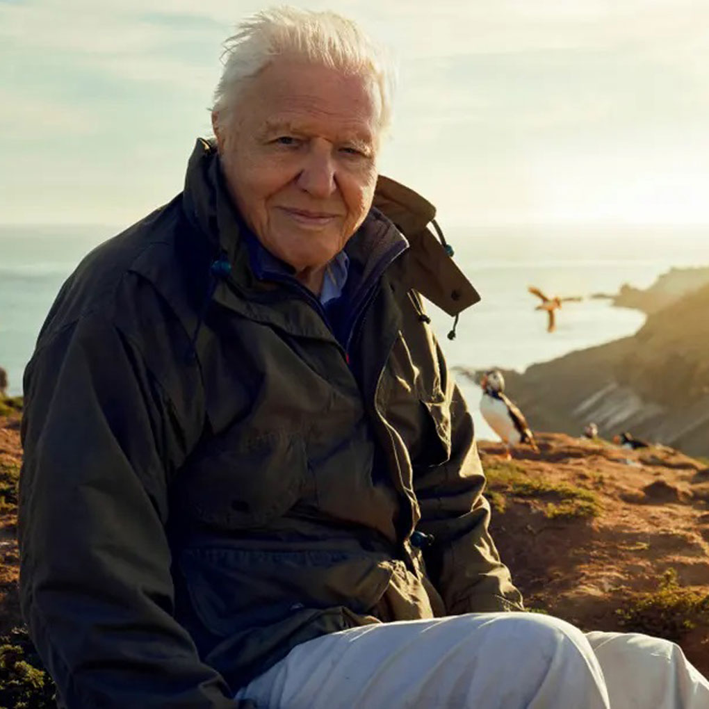 Wild Isles - David Attenborough — Great English Outdoors