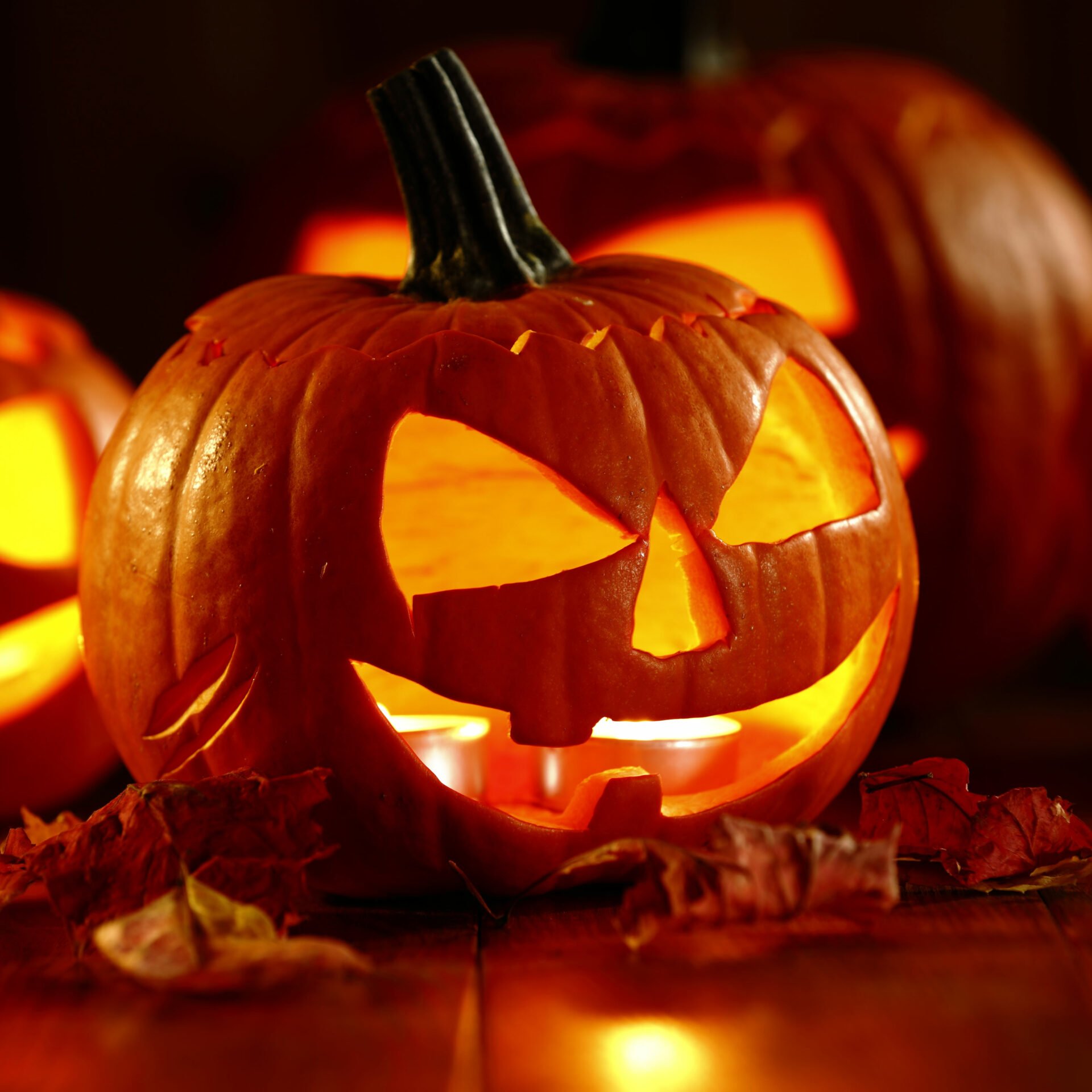 Halloween Pumpkins — Great English Outdoors
