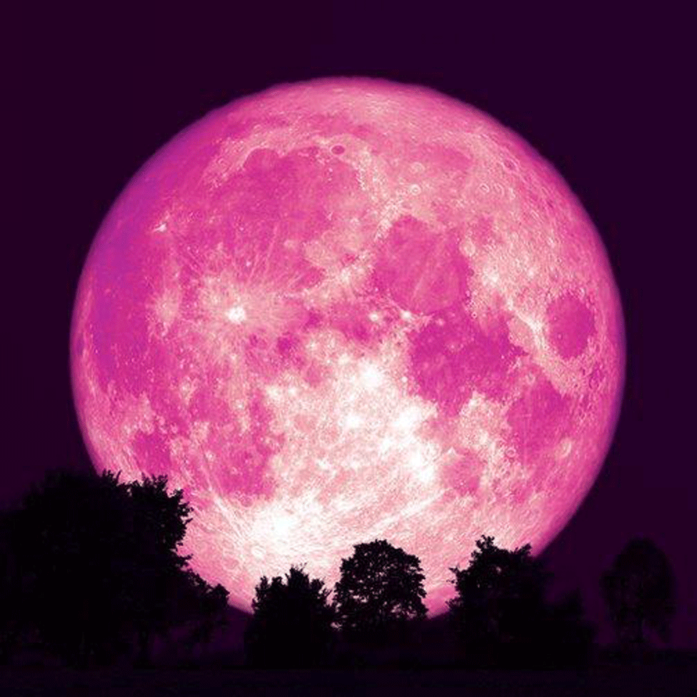 Strawberry Moon — Great English Outdoors